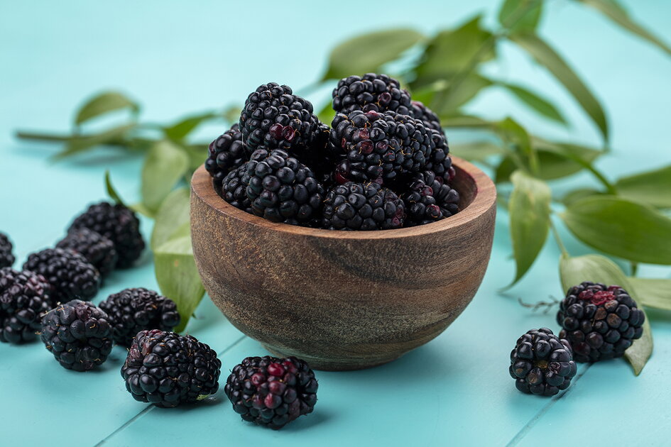 Health properties of Blackberry